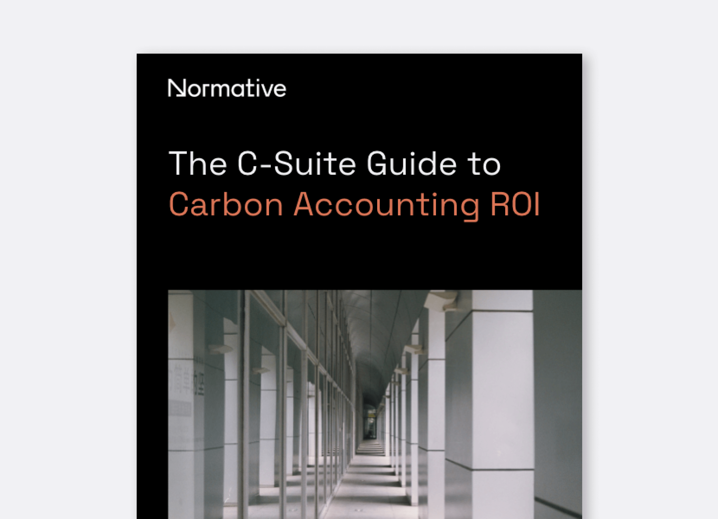 The C-Suite Guide to Carbon Accounting ROI | Normative